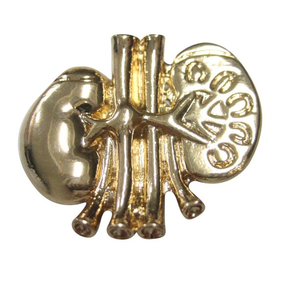 Kiola Designs | Other | Gold Toned Anatomical Medical Nephrologists ...